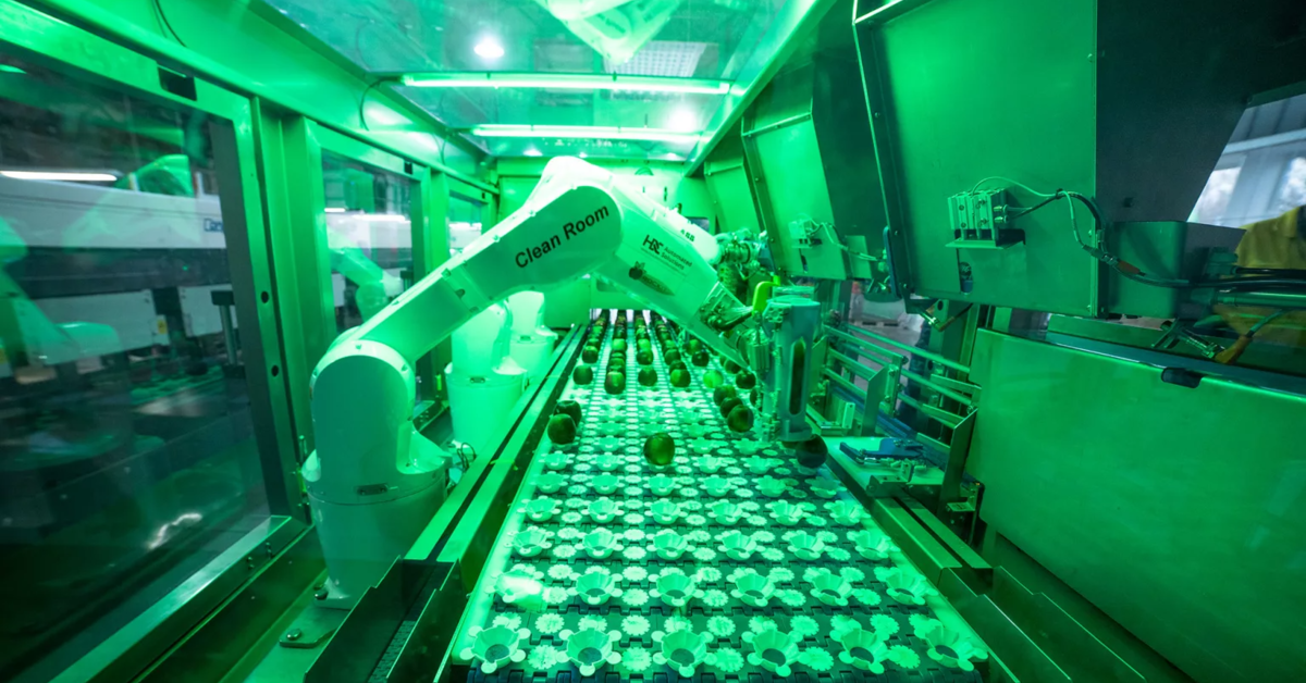 MHM Automation : Innovation Through Automation | Manufacturing Outlook